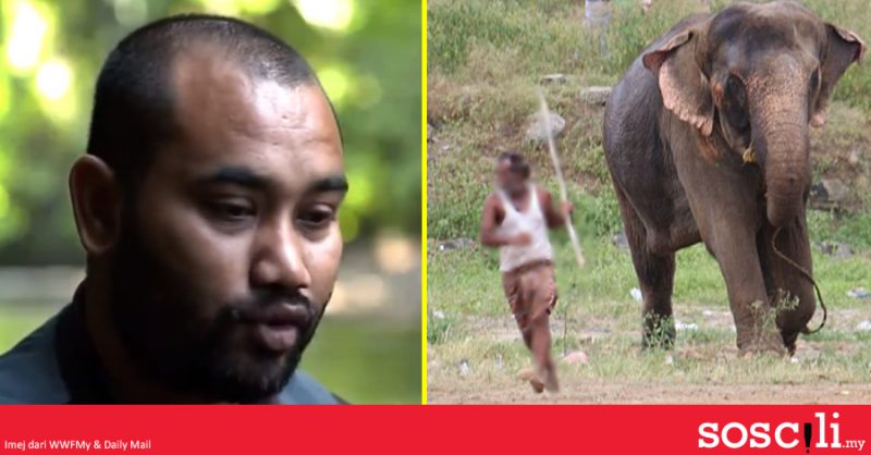 Park Ranger | SOSCILI