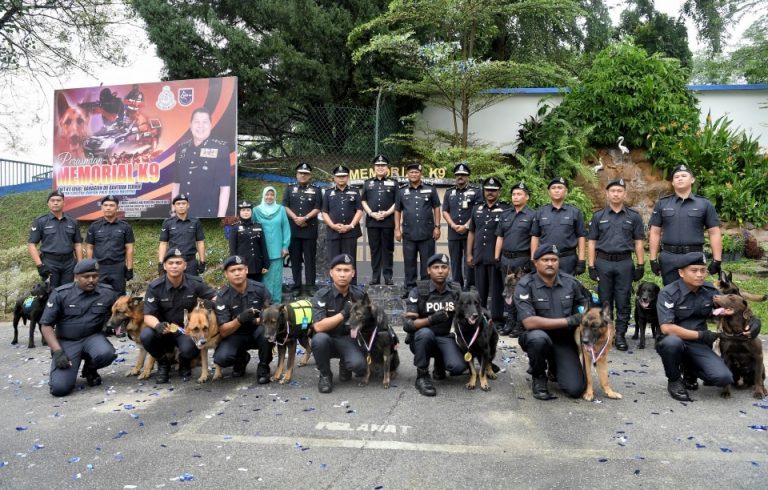 Unit K9: Anjing pengesan PDRM yang mengesan apa yang manusia tak mampu ...