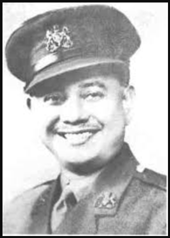 Tengku Mahmud: Harimau Malaya yang terselamat dari serangan ‘Kamikaze’