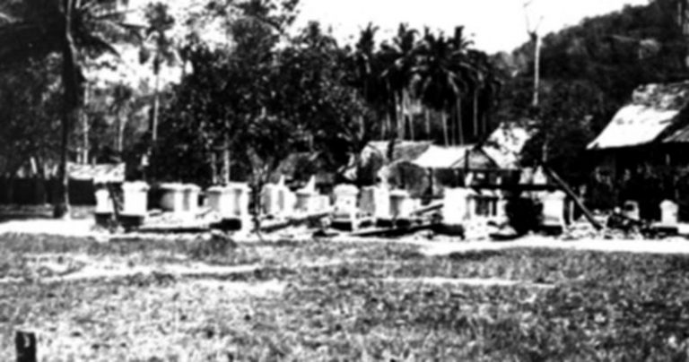 Serangan Bukit Kepong: Pelan Chin Peng untuk mengambil alih Malaya